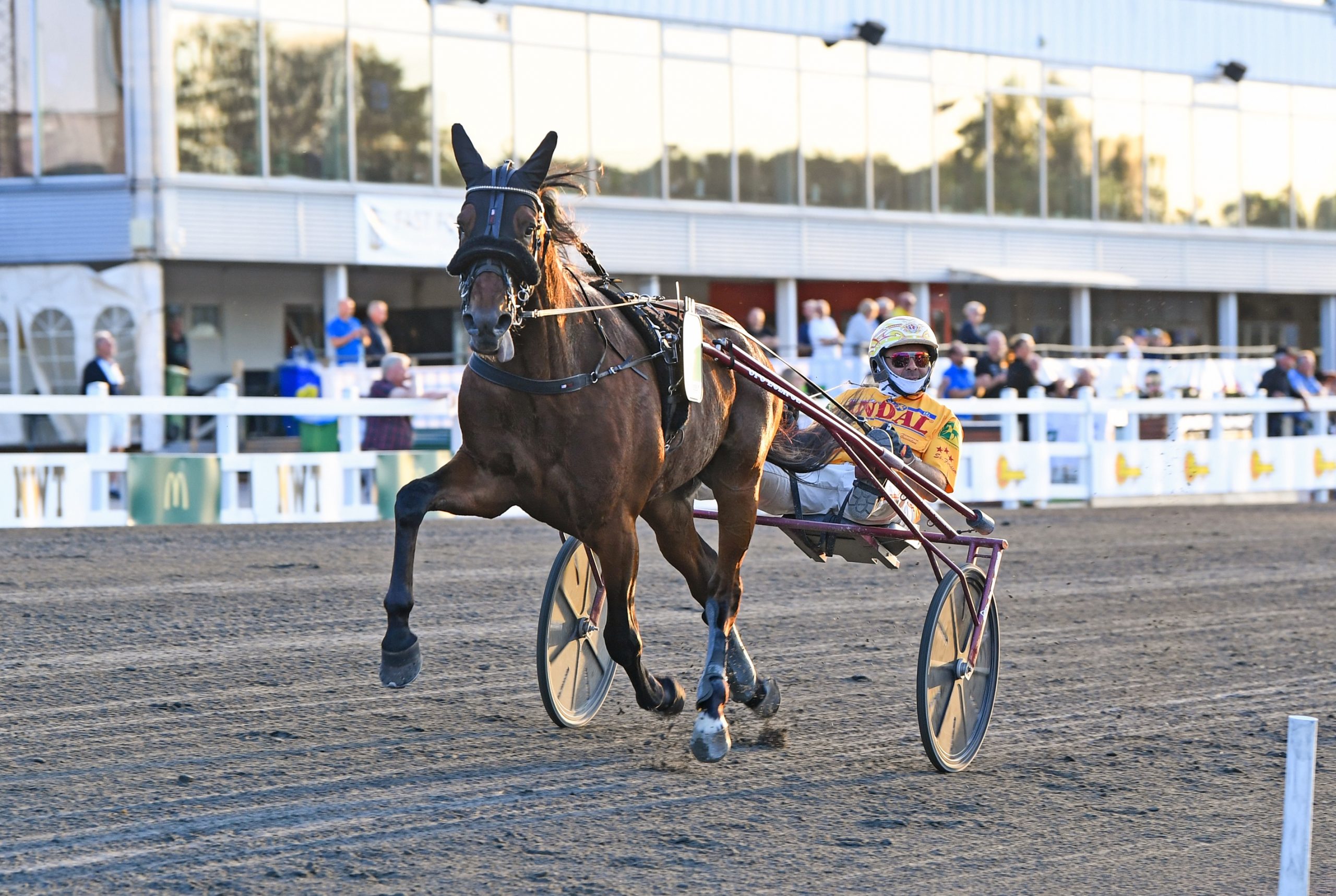 Monsteruppvisning av Expo Wise As i E3-försöken – ”Han är bästa hästen ...