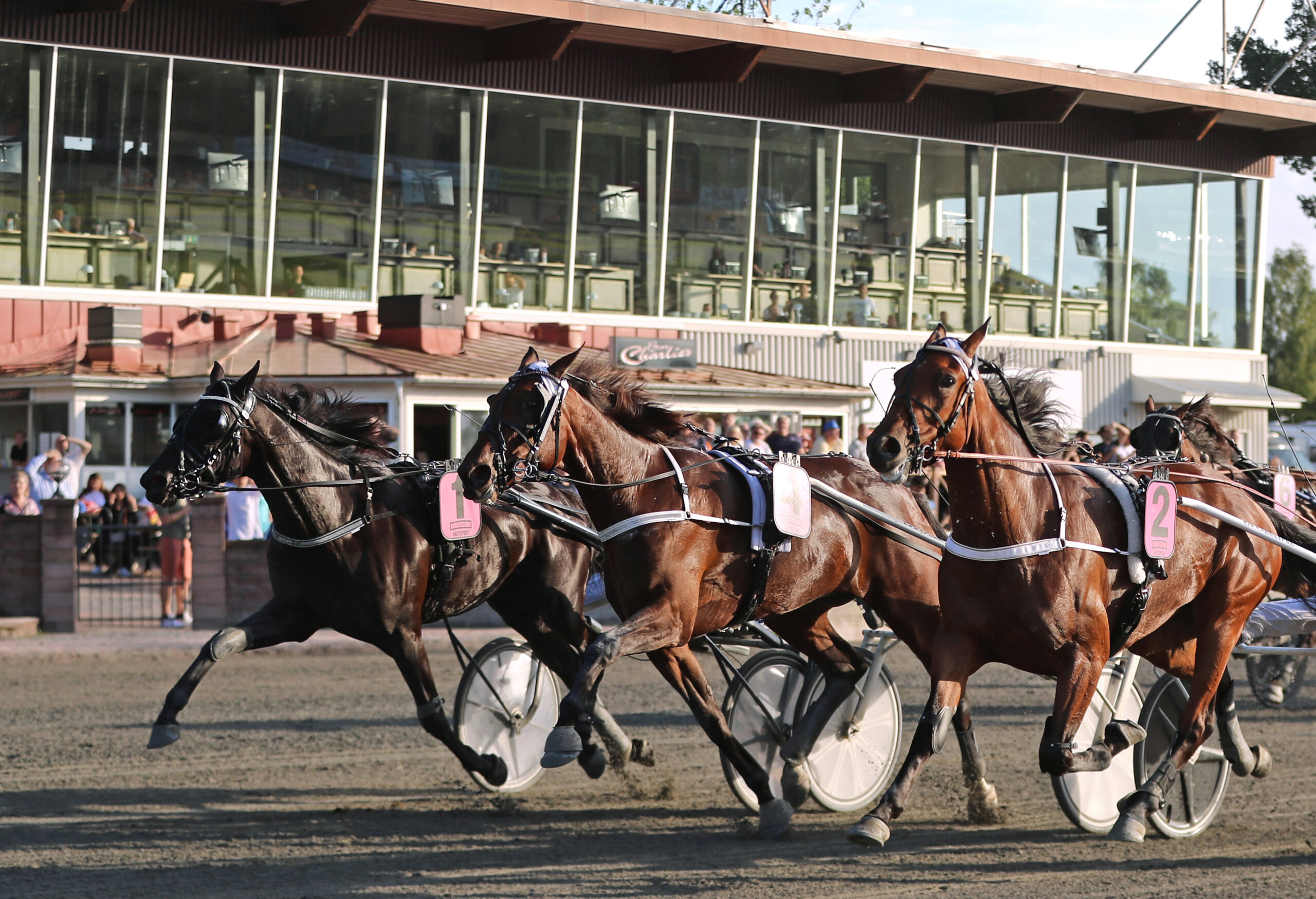 Serien där många tjänar pengar - E3