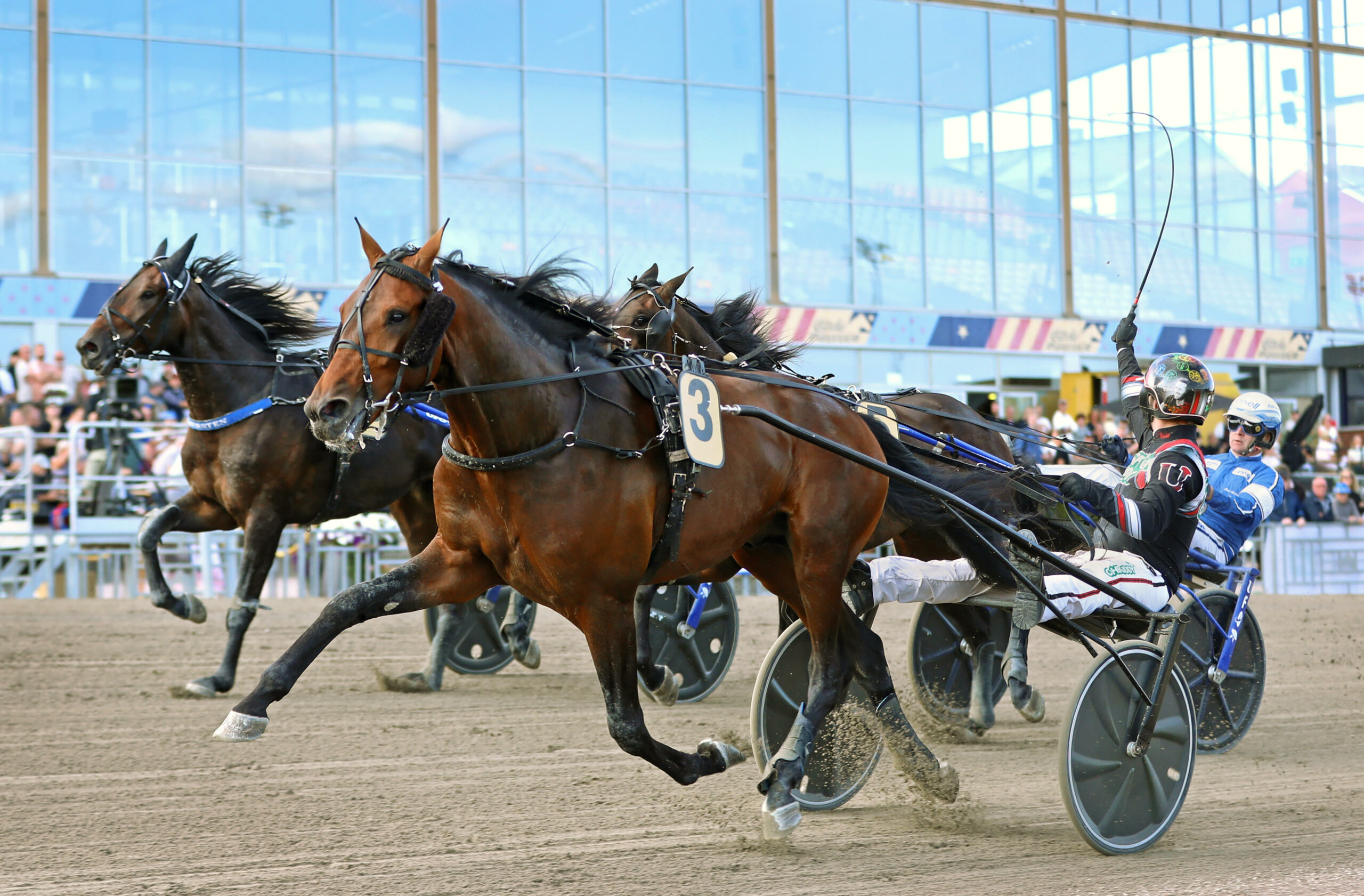 E3-favoriterna glänste på Gävletravet - E3